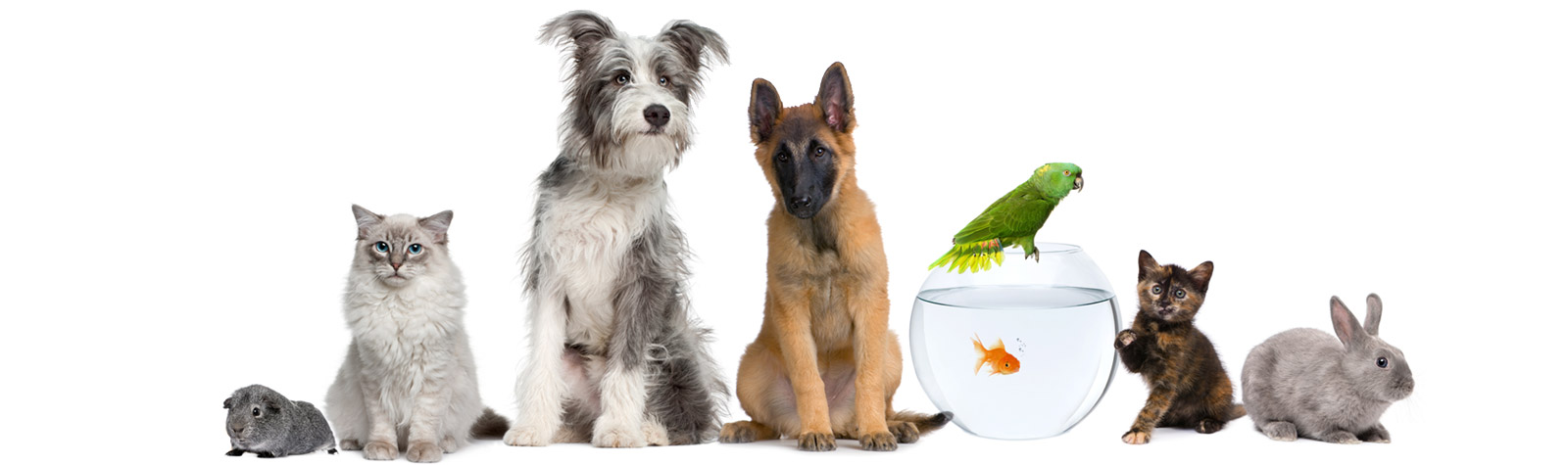 Velkommen | Pethelp.dk